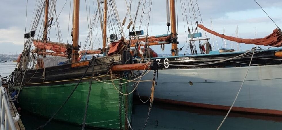 Carvel Boatbuilding - EcoClipper