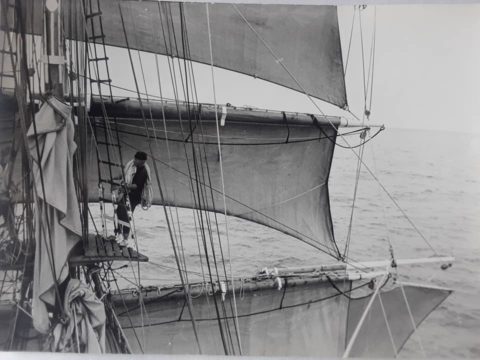 3 reasons to sail without engine - EcoClipper